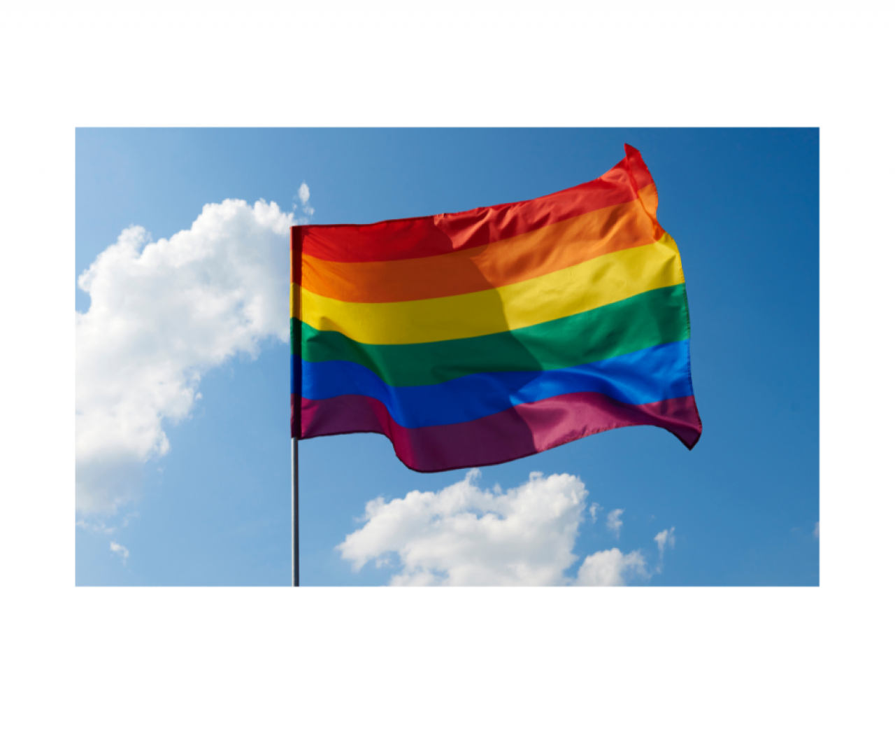 June is LGBTQ+ Pride Month! | CharityWatch