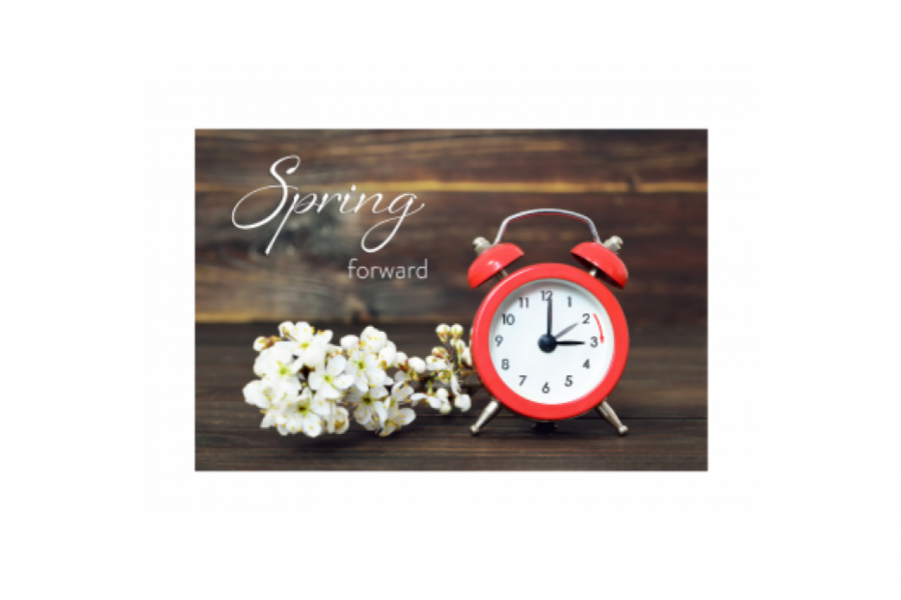 Spring Ahead and Donate to a Top-Rated CharityWatch Charity! | CharityWatch
