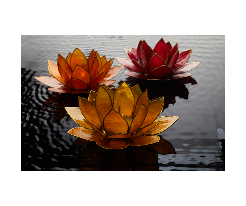 Happy Vesak Day: Donate to a Top-Rated Charity | CharityWatch